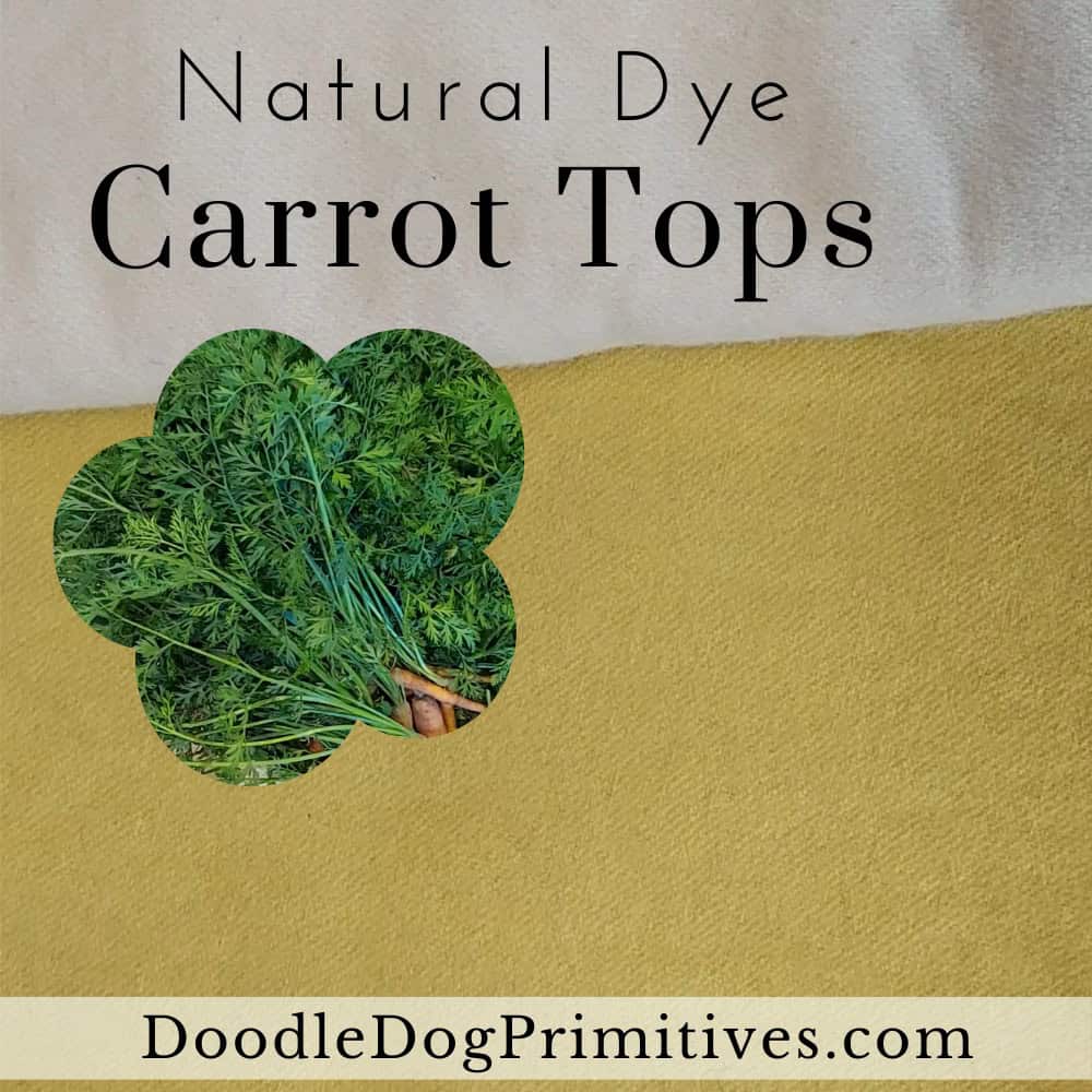 Tutorials - DoodleDog Designs Primitives