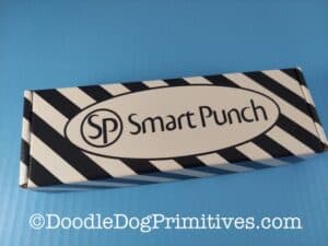 Smart Punch Needle Unboxing - DoodleDog Designs Primitives