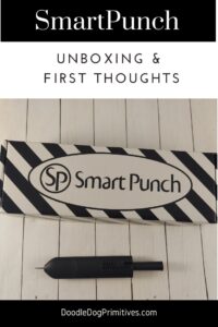 Smart Punch Needle Unboxing - DoodleDog Designs Primitives