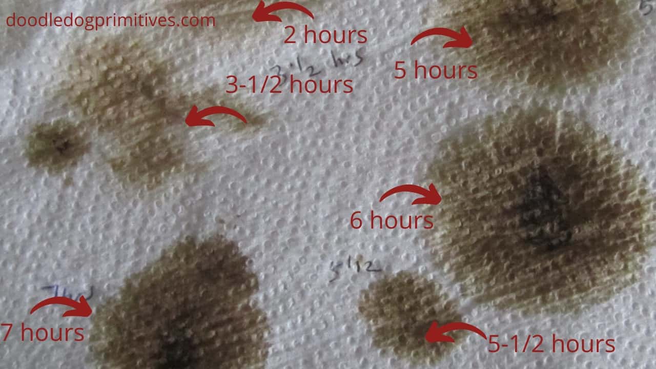 How to Make Natural Black Walnut Dye - DoodleDog Designs Primitives